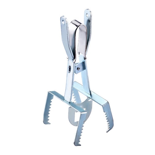 Sorkar: Ultimata Guide (2024) → Skadedjursbutiken.se