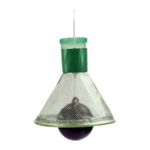 Jordgetingar: Ultimata guiden (2025) - Skadedjursbutiken.se