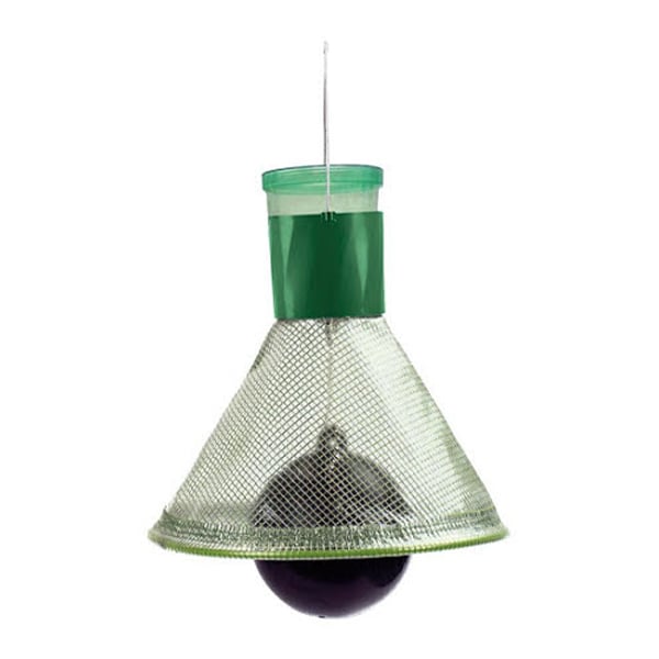 Jordgetingar: Ultimata guiden (2025) - Skadedjursbutiken.se